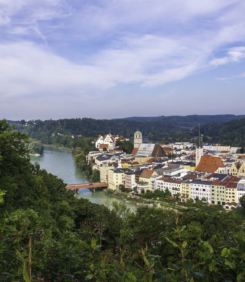 Contact • LignoAlp